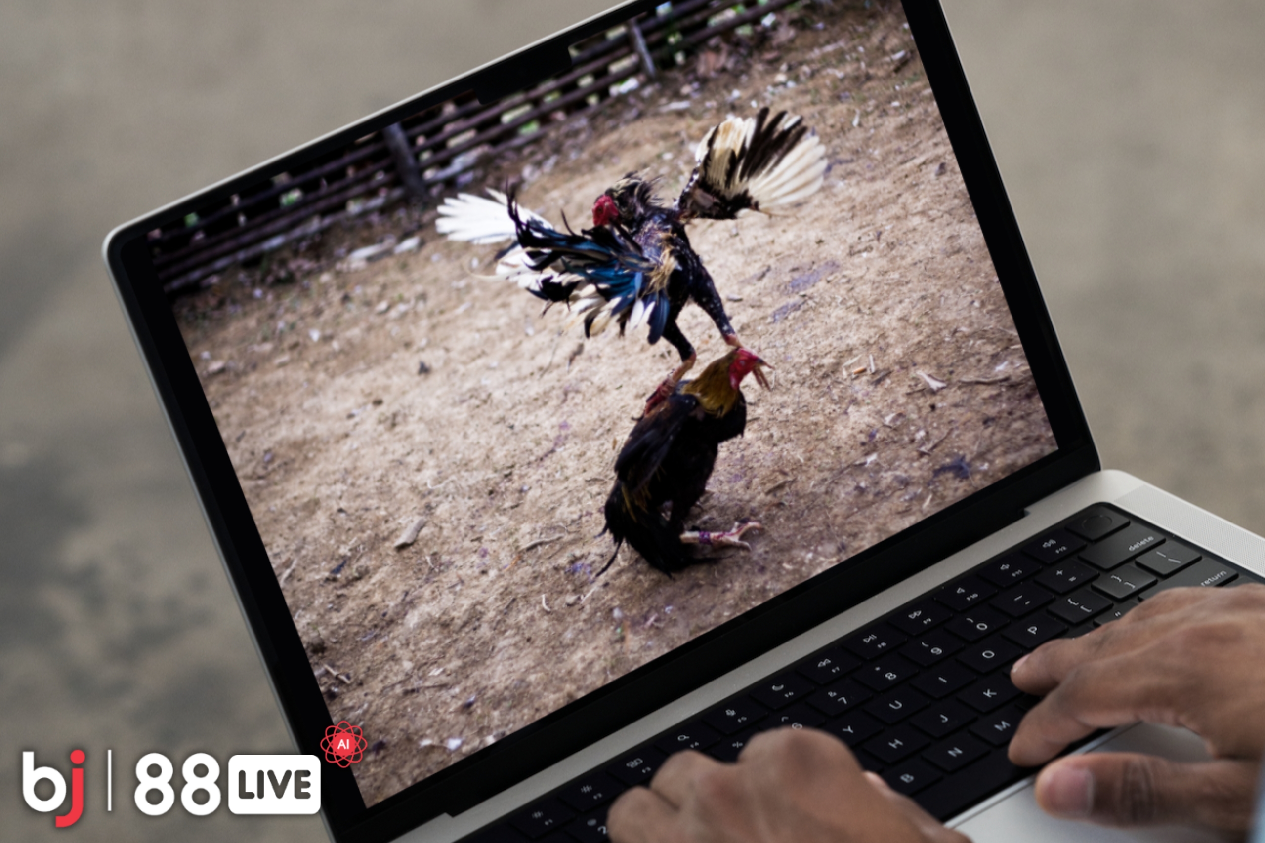 BJ88: Cược Những Trận Chọi Gà Dữ dội Nhất Trong Ngày - Bj 88 Live Ai